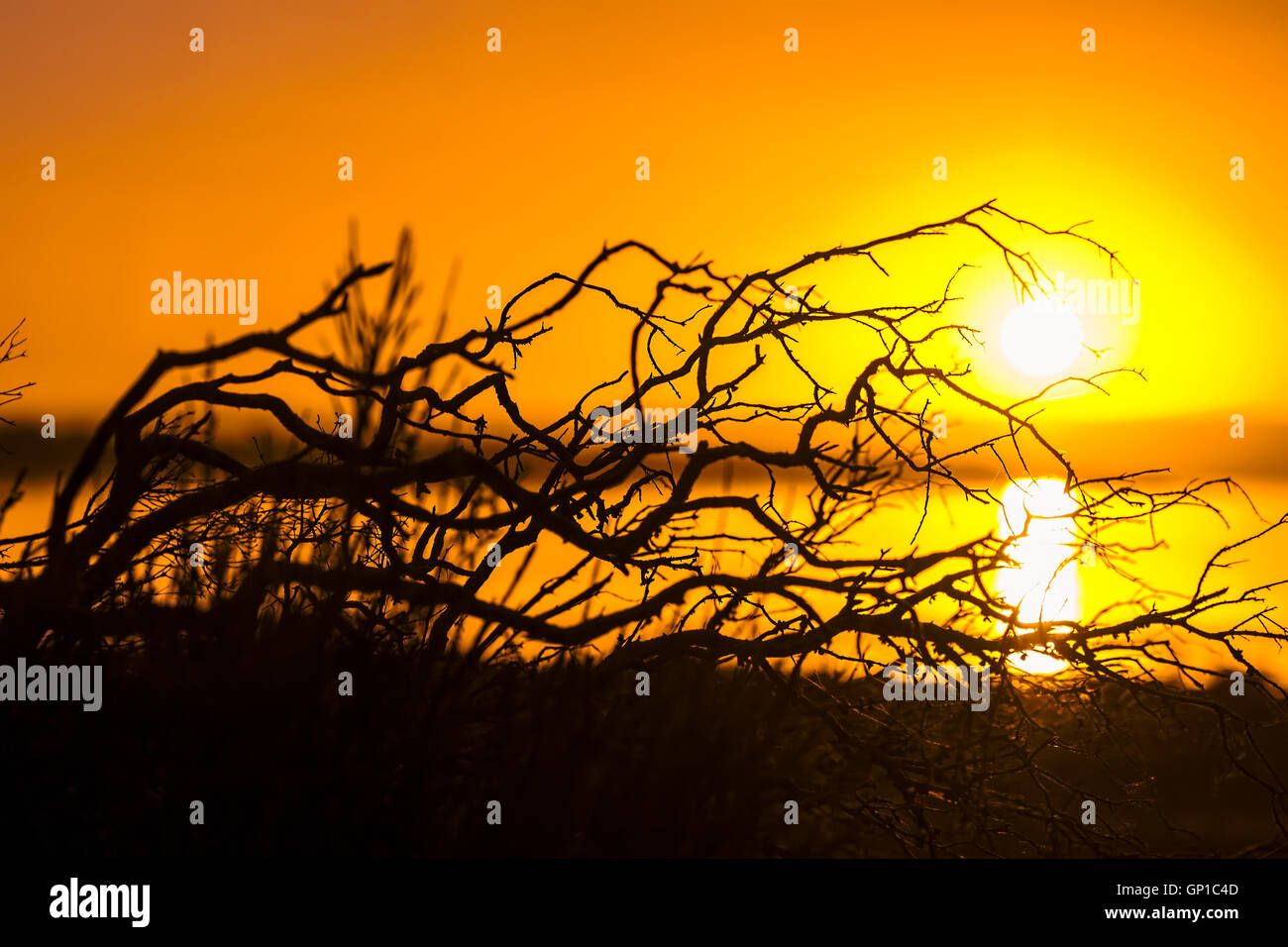 Silhouette against SunSet over the Mere Stock Photo - Alamy