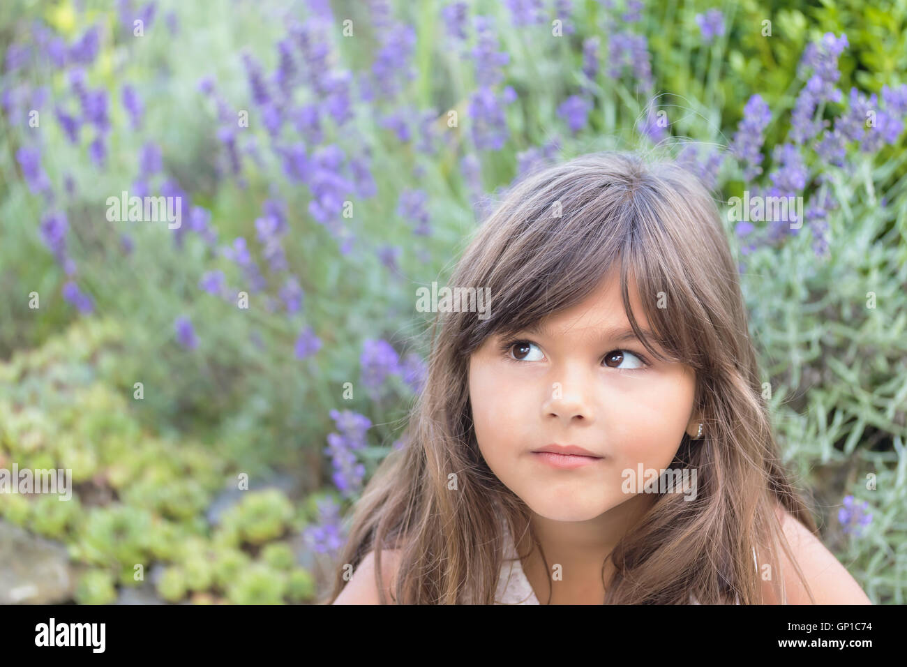 Portrait of attractive little girl with blooming lavender in the background Stock Photo - Alamy