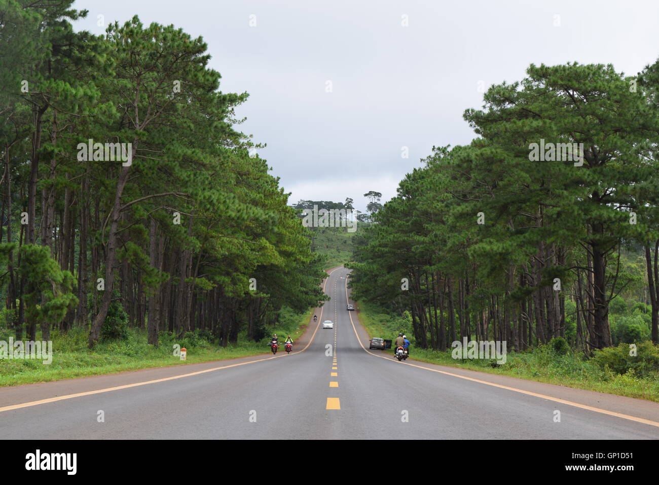 Trees on the two sides of the road hi-res stock photography and images ...
