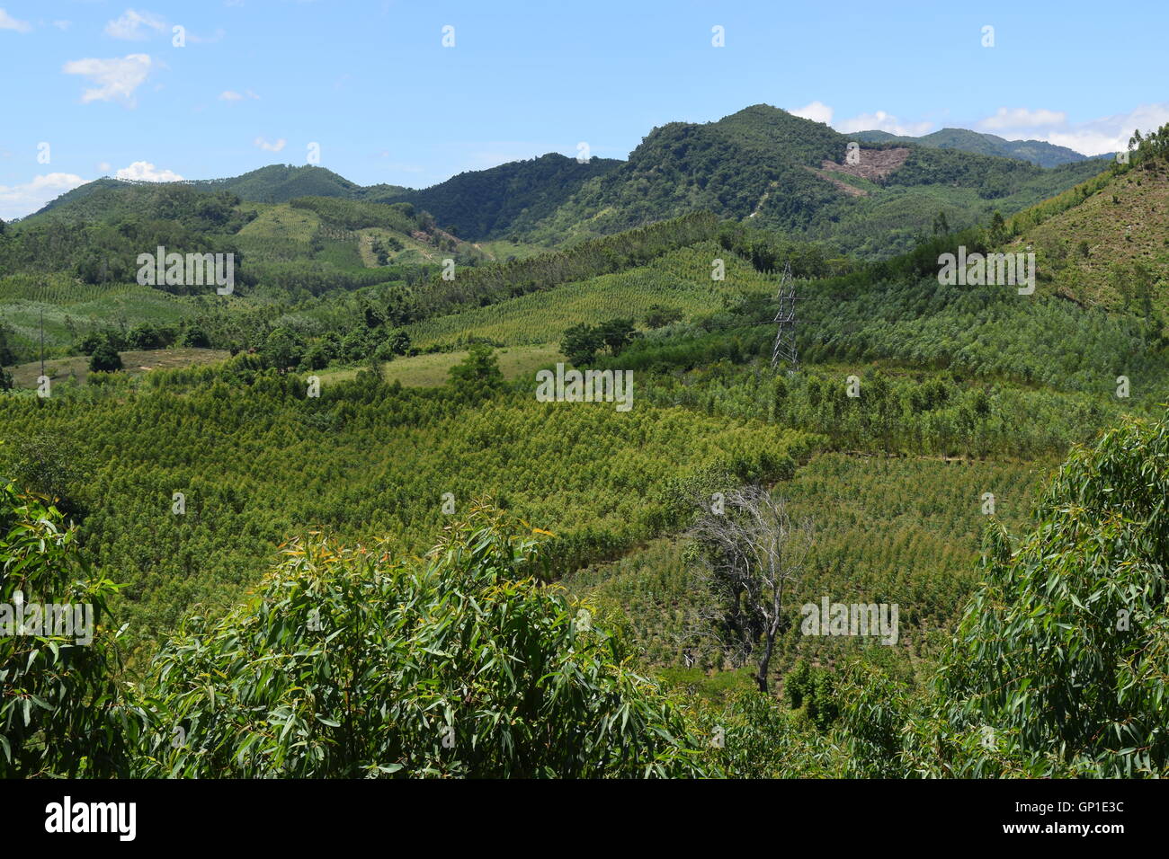 Lai khe vietnam hi-res stock photography and images - Alamy