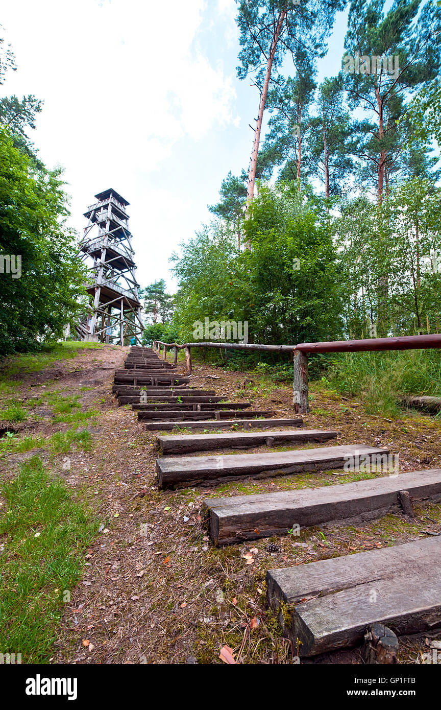 wooden watchtower in forest Stock Photo - Alamy