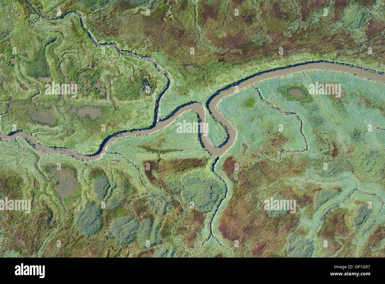 AERIAL VIEW. Salt marsh wilderness on the Western Scheldt Estuary ...