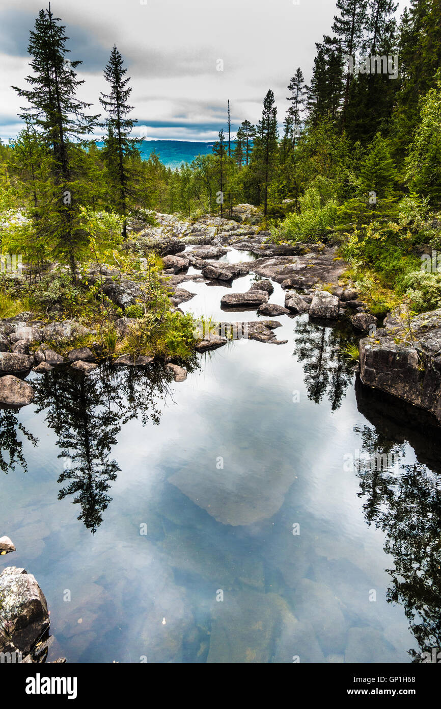 Norwegian forrest hi-res stock photography and images - Alamy
