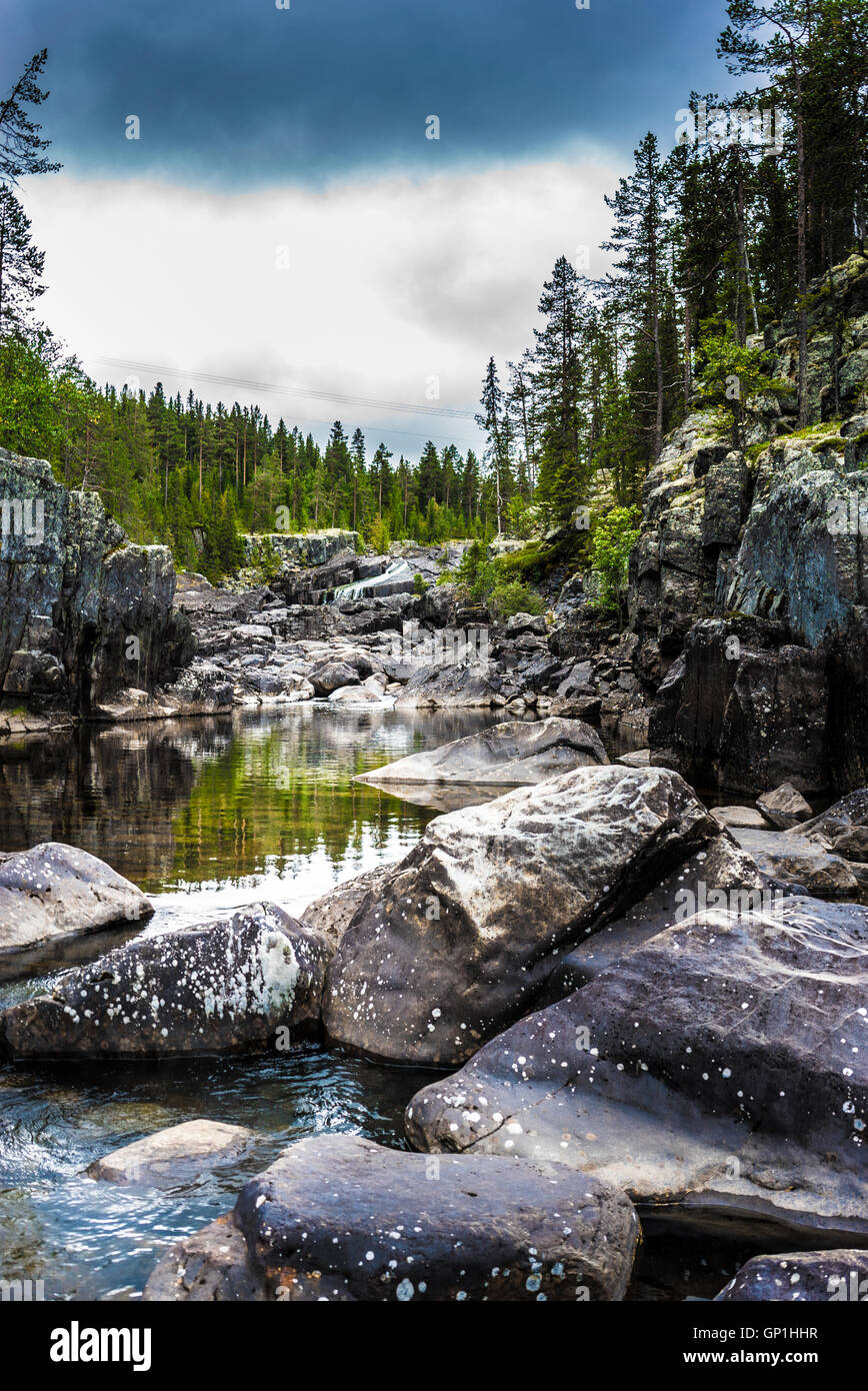 Forrest forrest forrest forrest river hi-res stock photography and ...