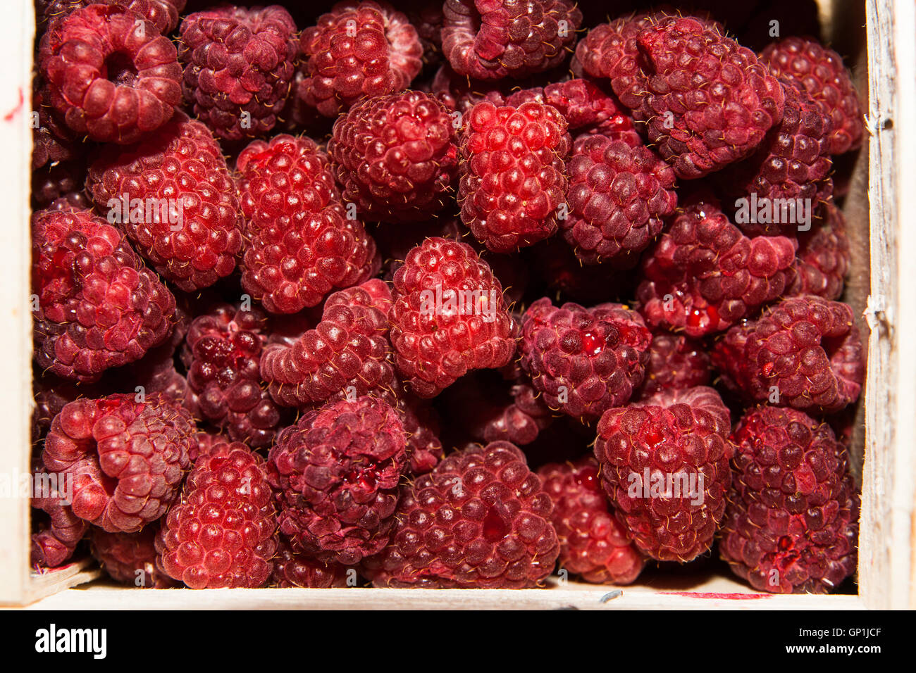 A pile of red yummy raspberry berries in a white wooden box. Closeup ...