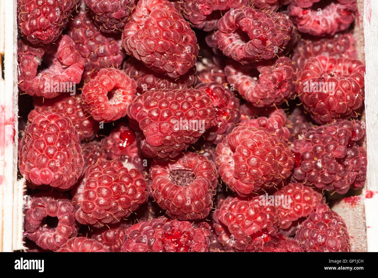 A pile of fresh raspberries in a white wooden box. Closeup view Stock ...