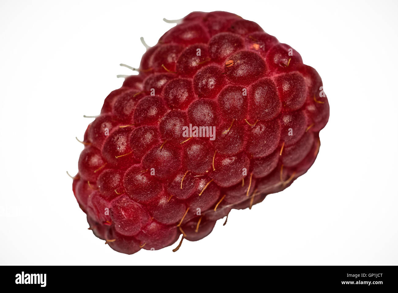 Single raspberry berry isolated against white background. Macro ...