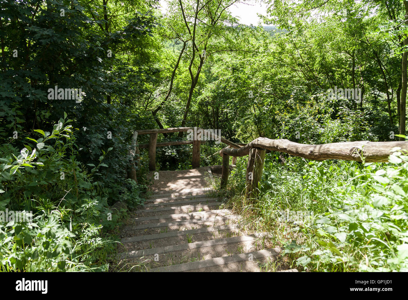 Drachenberg hi-res stock photography and images - Alamy