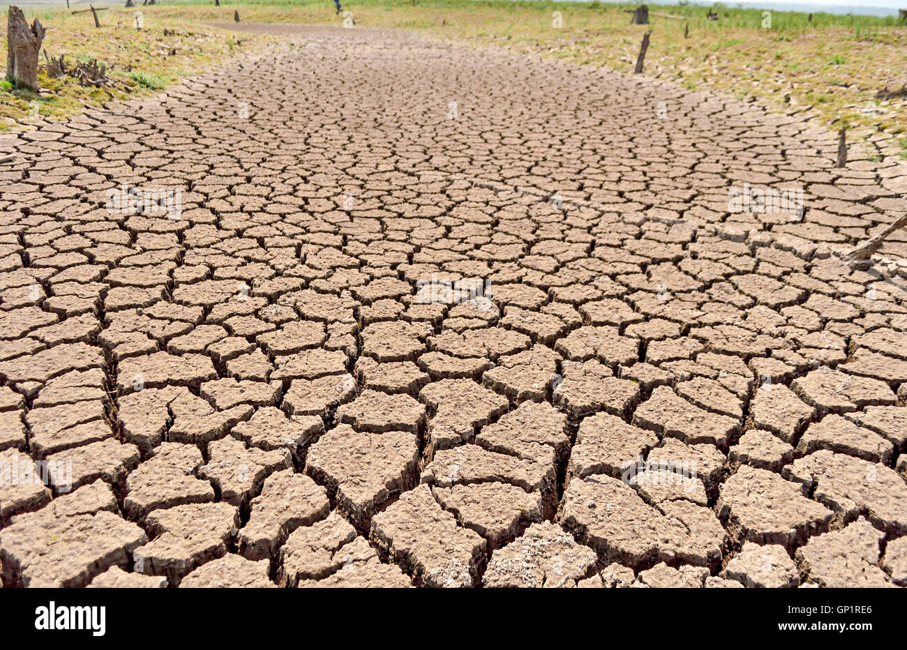 Dried earth because of rain dose not fall and the land lacked of water ...
