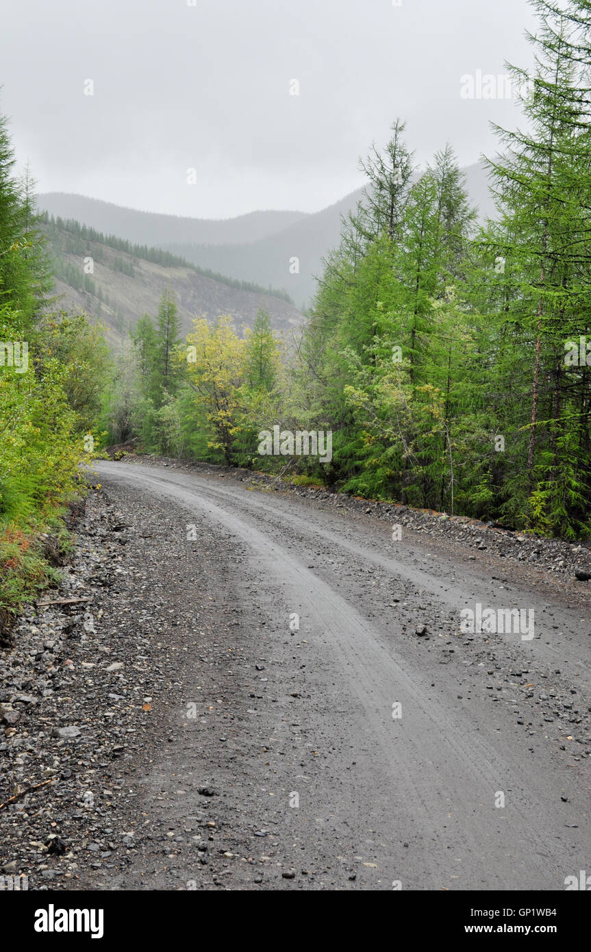 Photo dirt road after the rain in the Yakut taiga at the end of summer ...