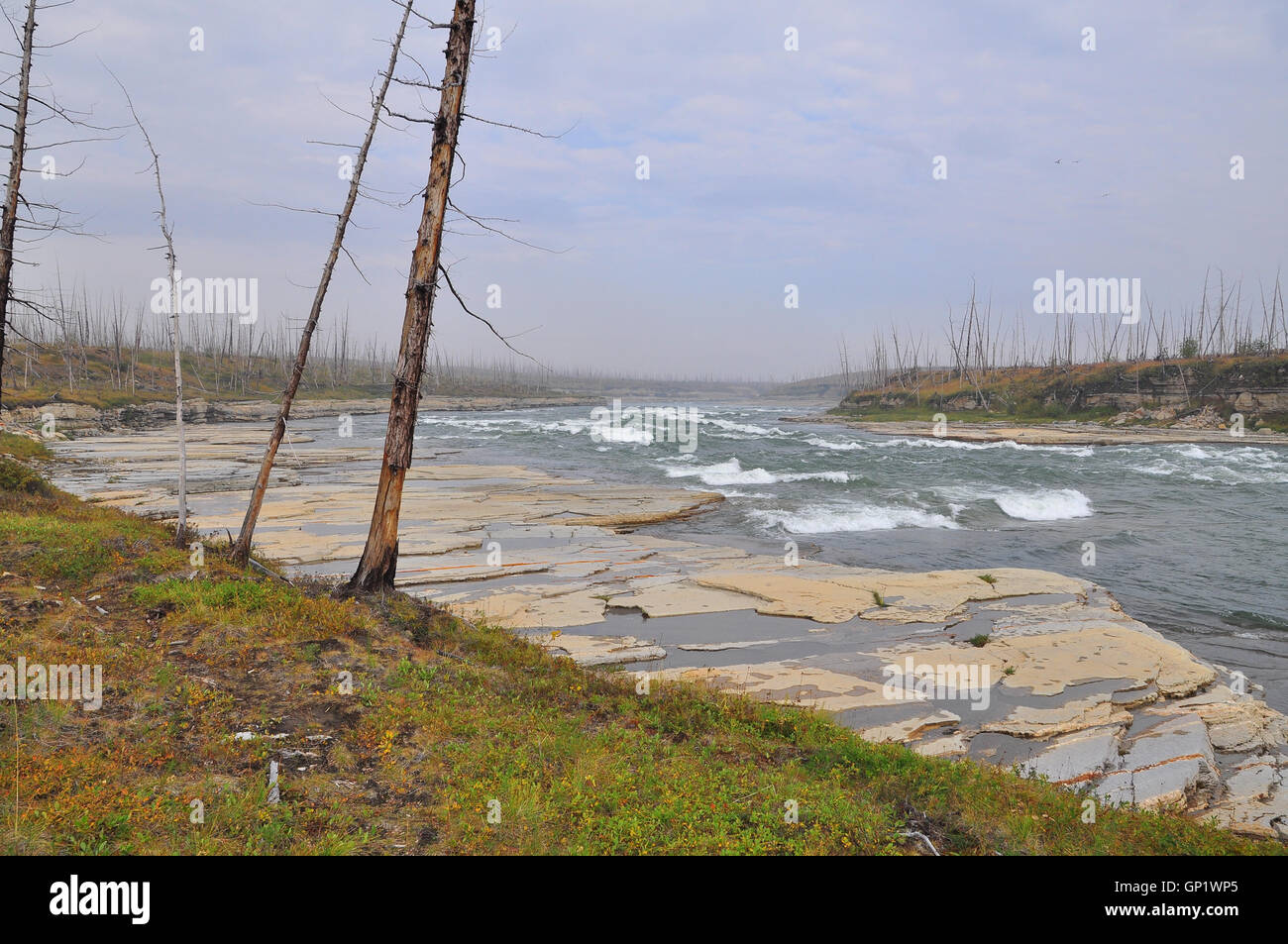 Rapid in Eastern Siberia. North of rapid Fish river on the Taimyr ...