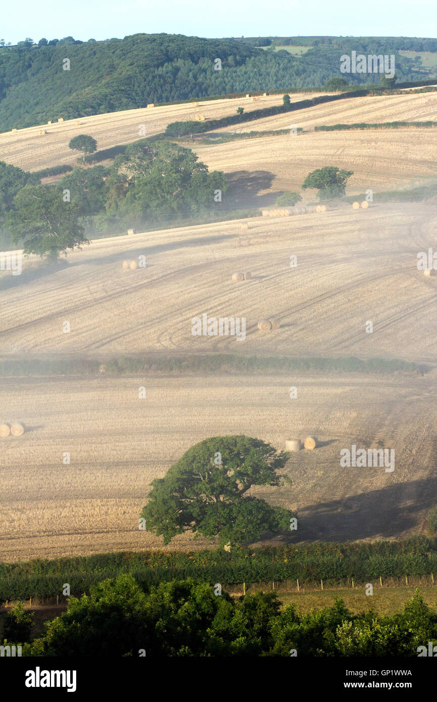 misty fields near the village of Dunsford, Dartmoor national park,wood ...