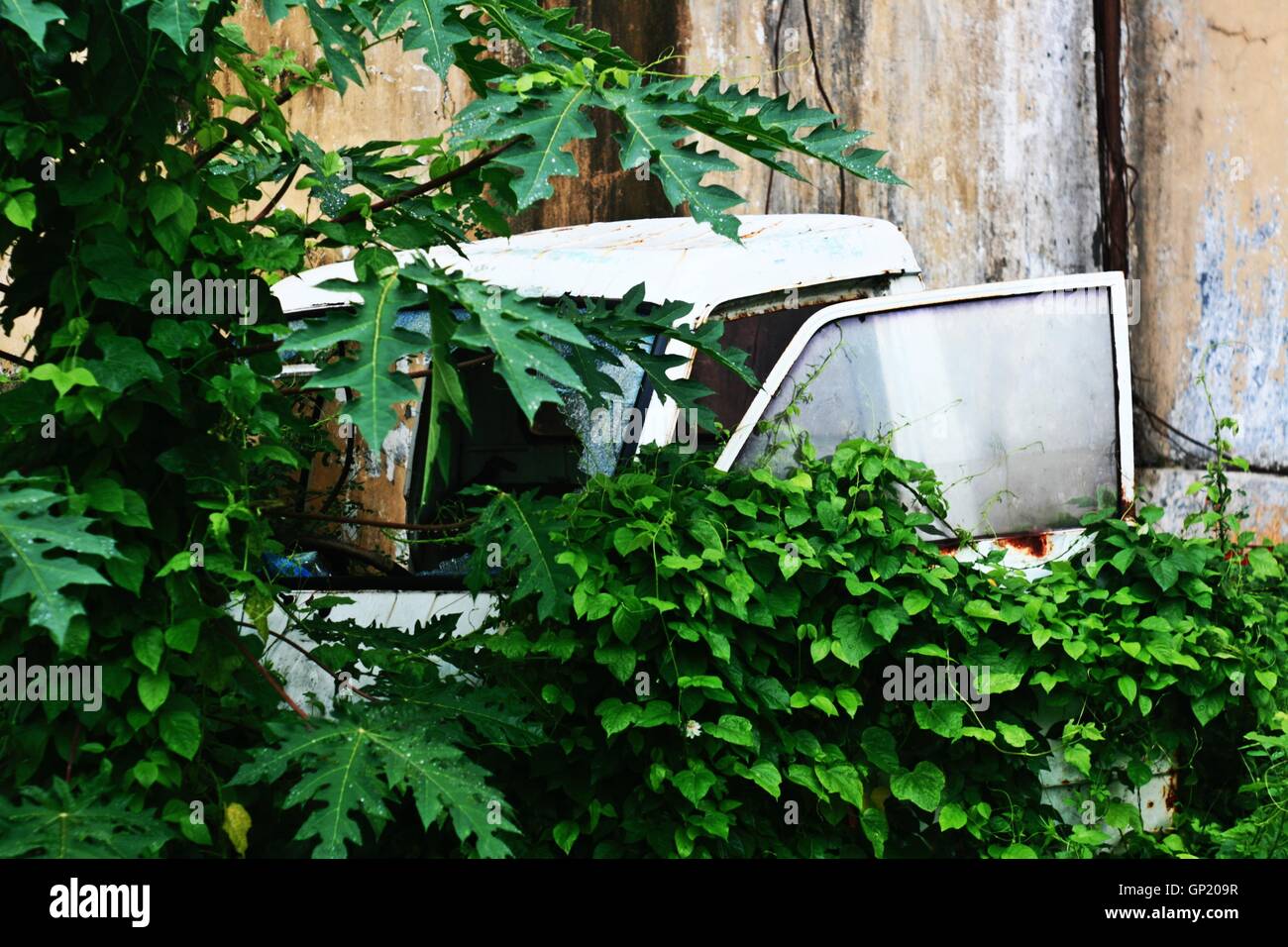 Car front damaged hi-res stock photography and images - Alamy