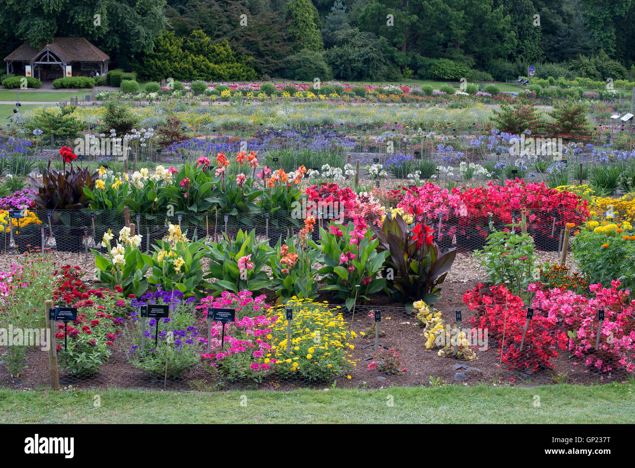 RHS Wisley Gardens Trial Field. Surrey, UK Stock Photo - Alamy