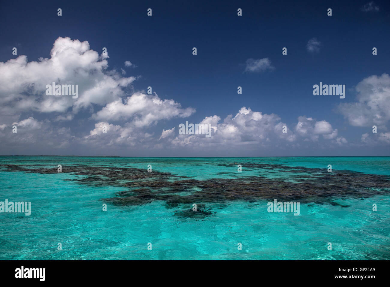 Turneffe Atoll, Caribbean, Belize Stock Photo - Alamy