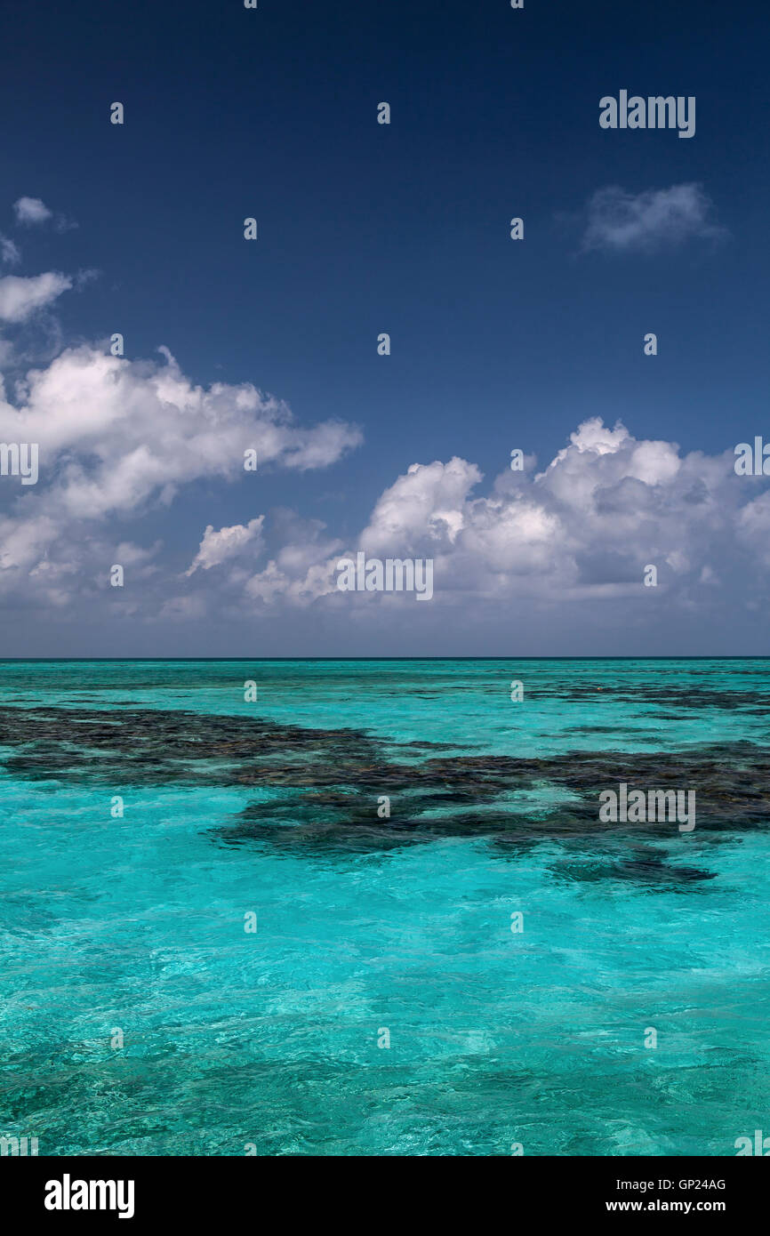 Turneffe Atoll, Caribbean, Belize Stock Photo - Alamy