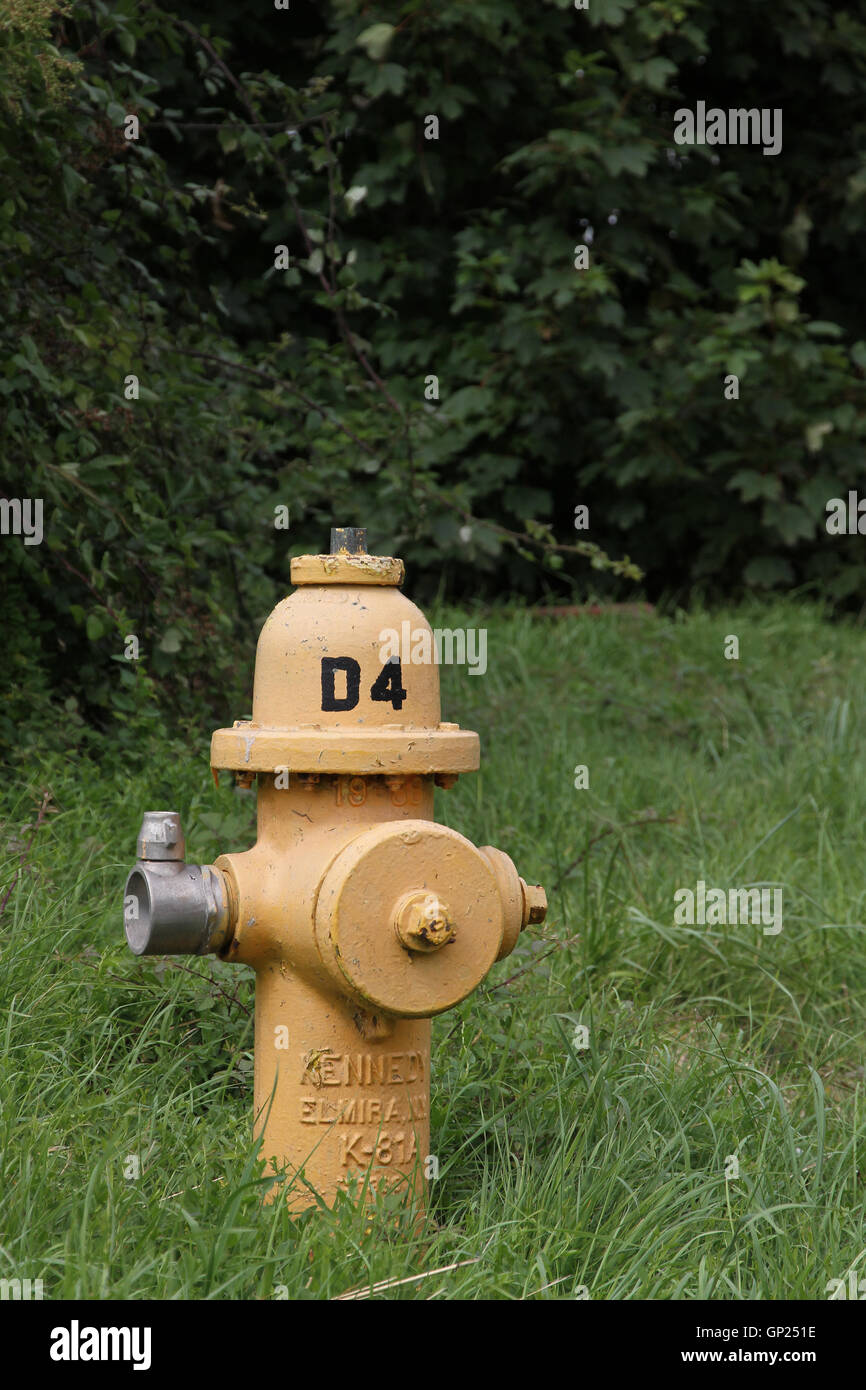 Yellow Kennedy K-81 dry barrel fire hydrant located in a grass verge on ...