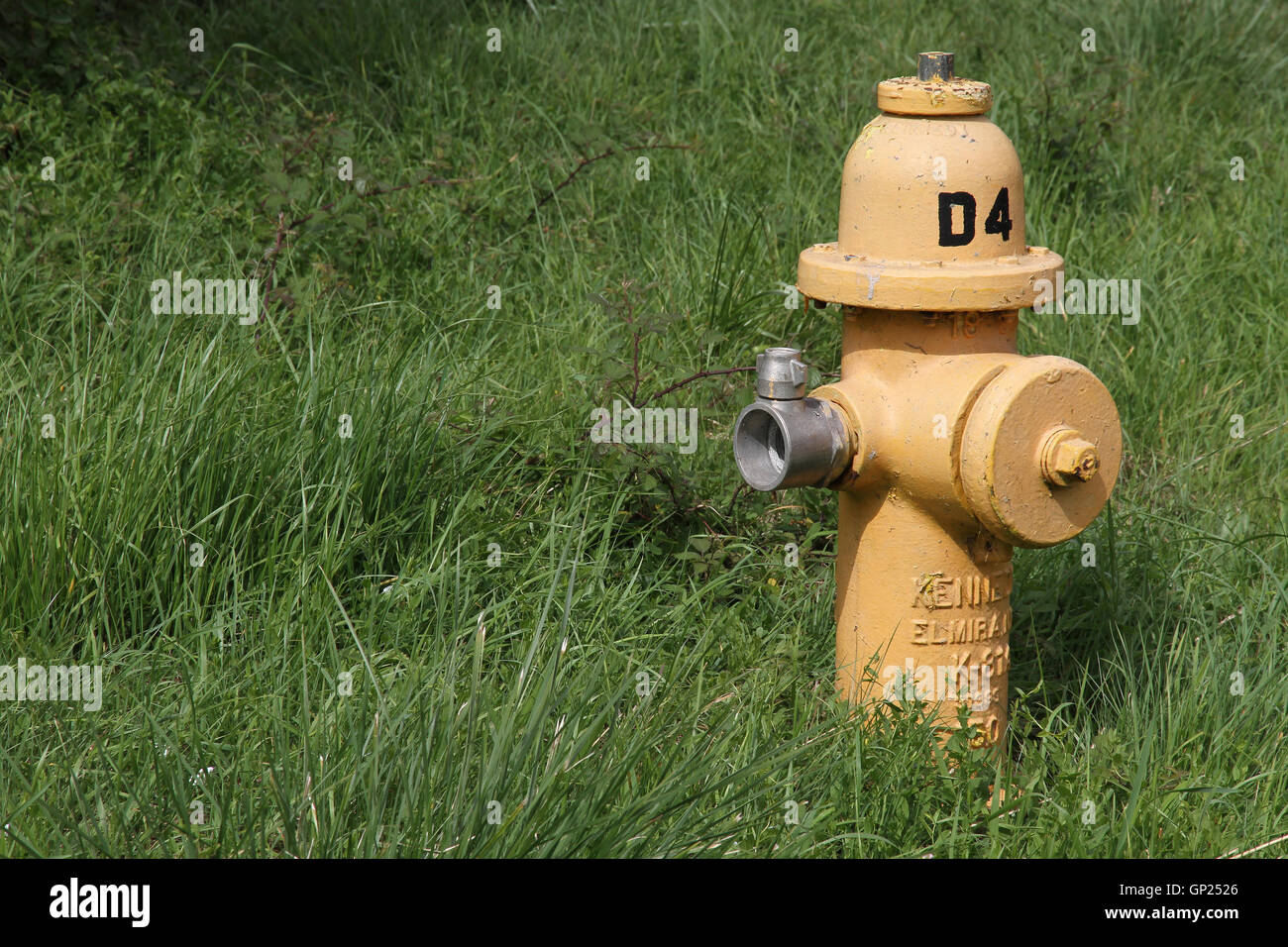 Yellow Kennedy K-81 dry barrel fire hydrant located in a grass verge on ...