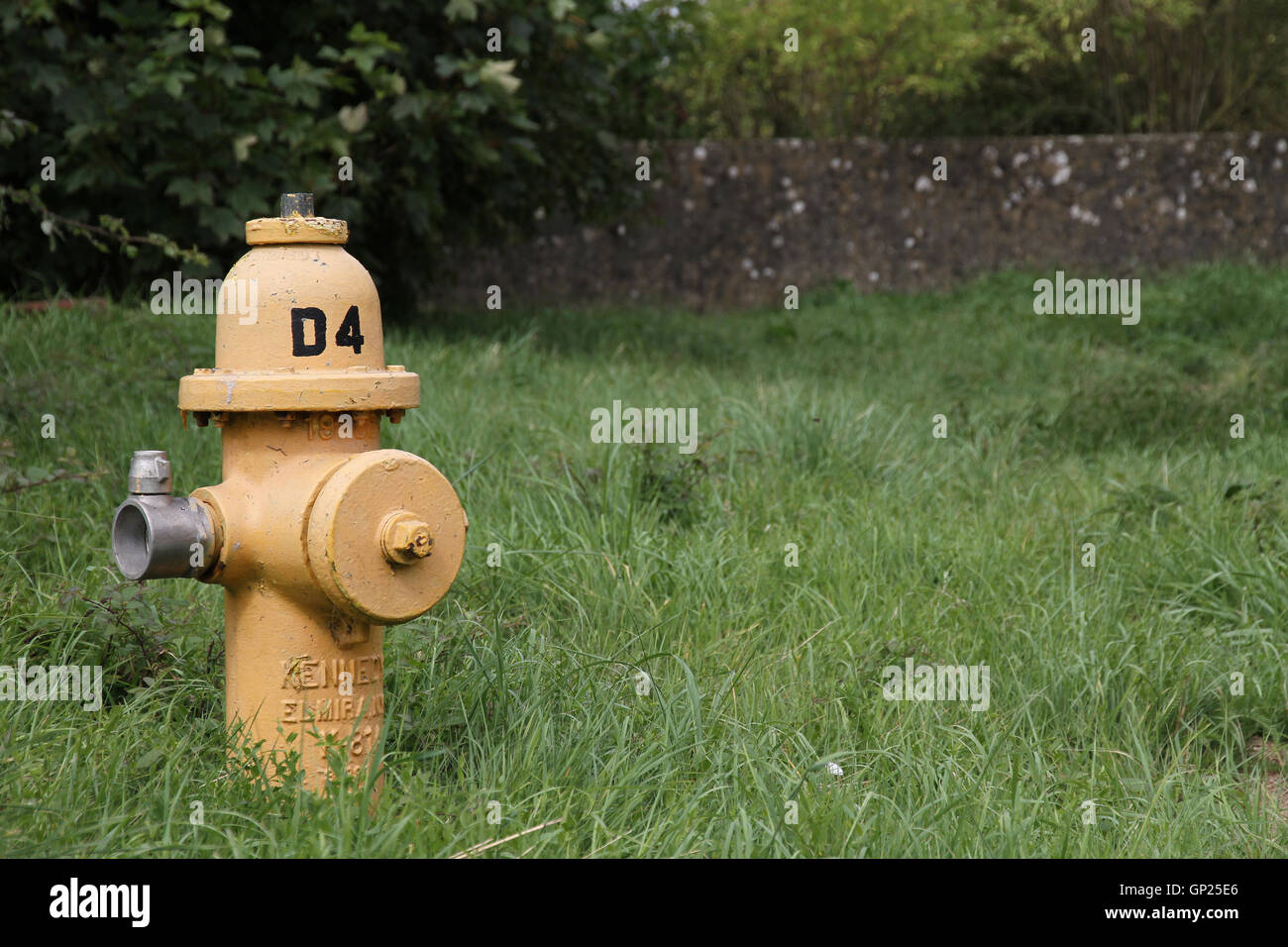 Yellow Kennedy K-81 dry barrel fire hydrant located in a grass verge on ...