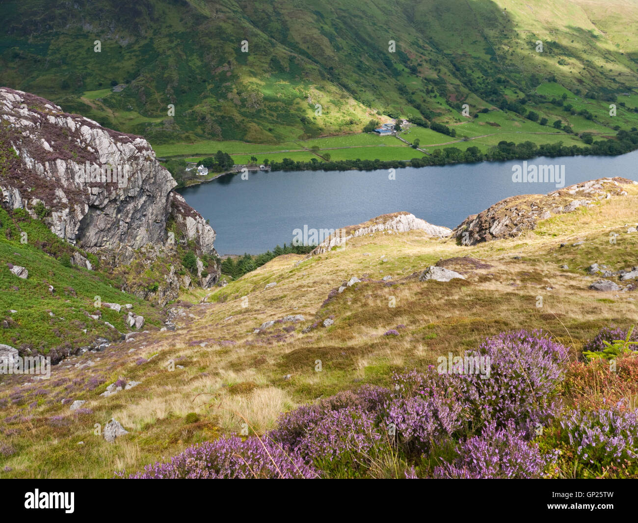 Llyn Cwellyn viewed from Cwm Planwydd on the eastern side of Mynydd ...