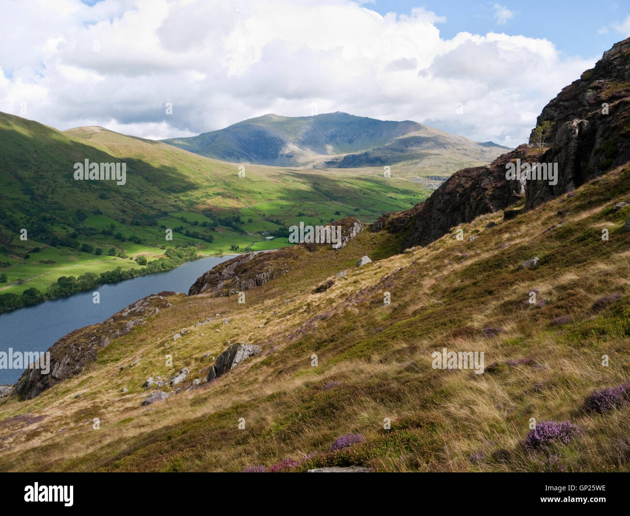 View of the western aspect of Snowdon, rising above Llyn Cwellyn ...