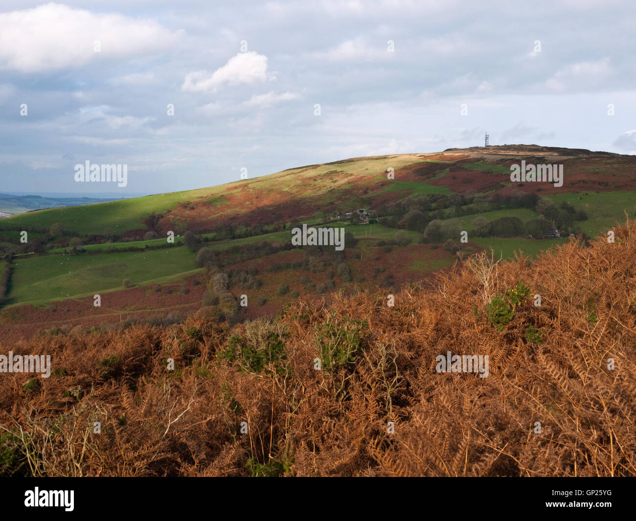 Brown Clee Hill, the highest point in the UK county of Shropshire. Main ...
