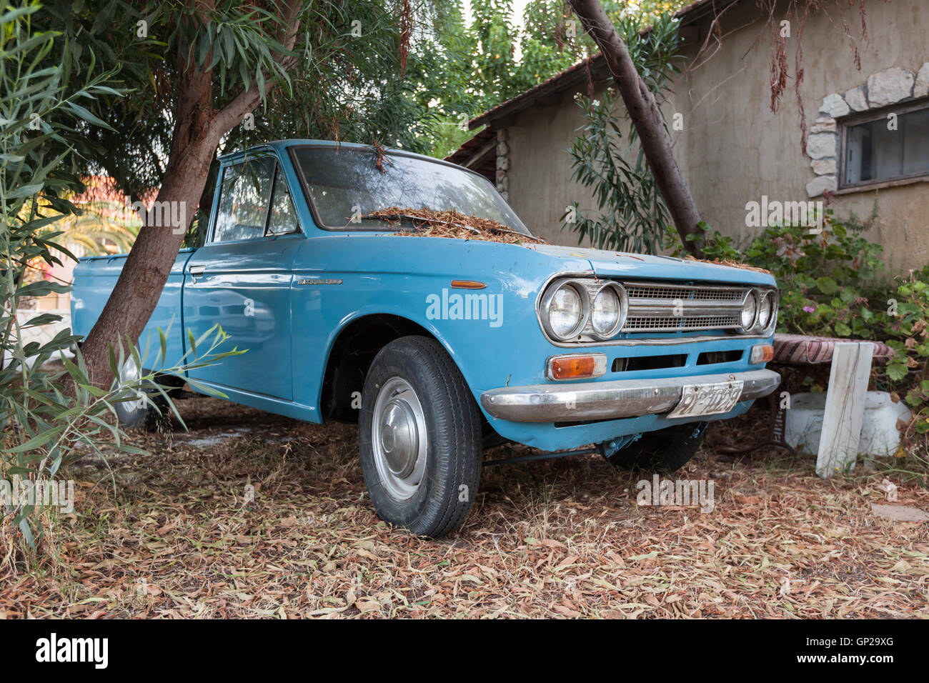 Zakynthos, Greece - August 16, 2016: closeup view of old blue Datsun ...