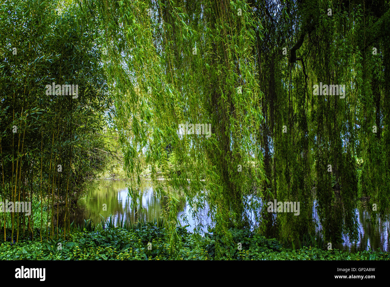 In the country Stock Photo - Alamy