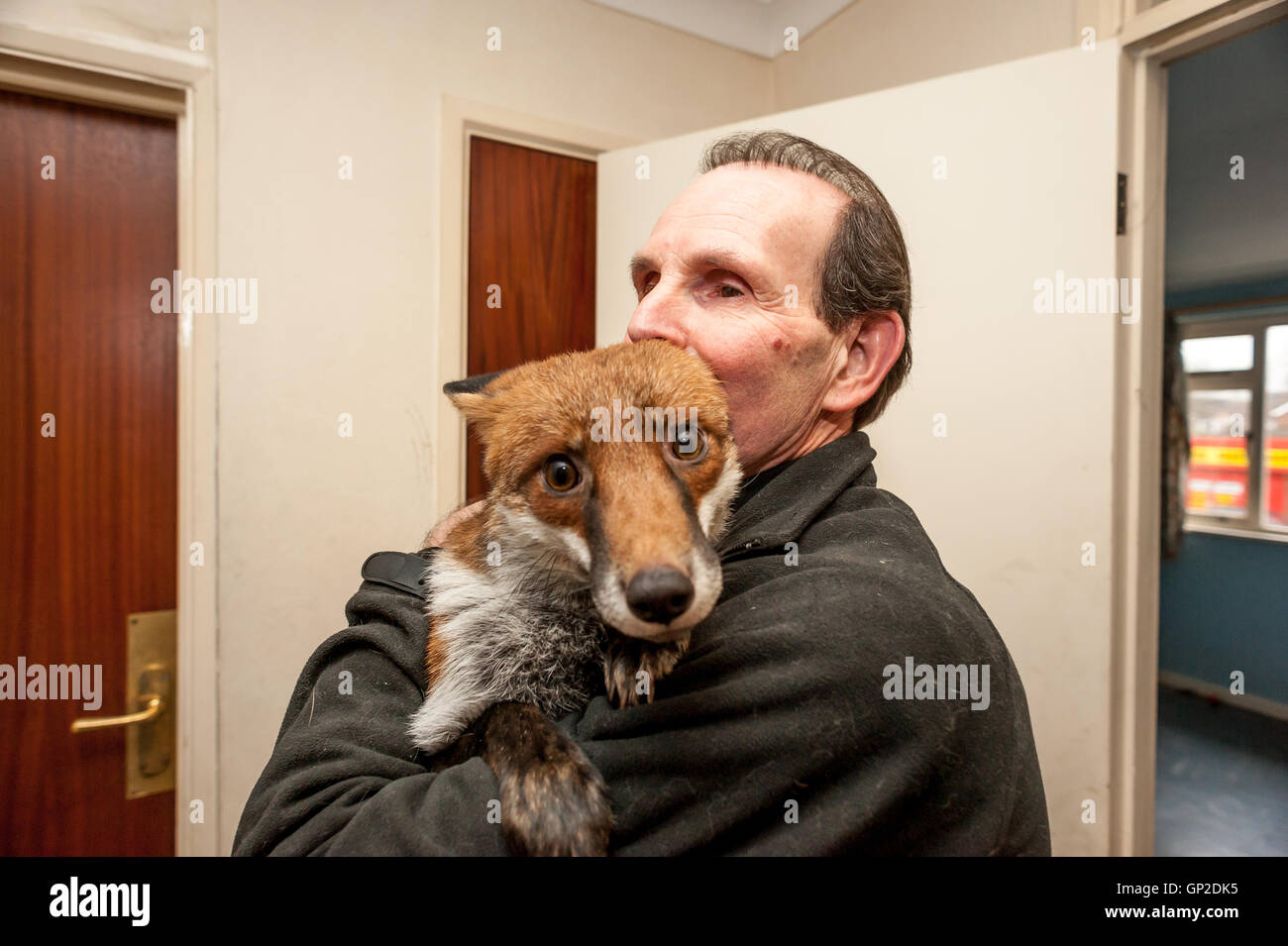 Steve edgington hassocks west sussex hi-res stock photography and ...