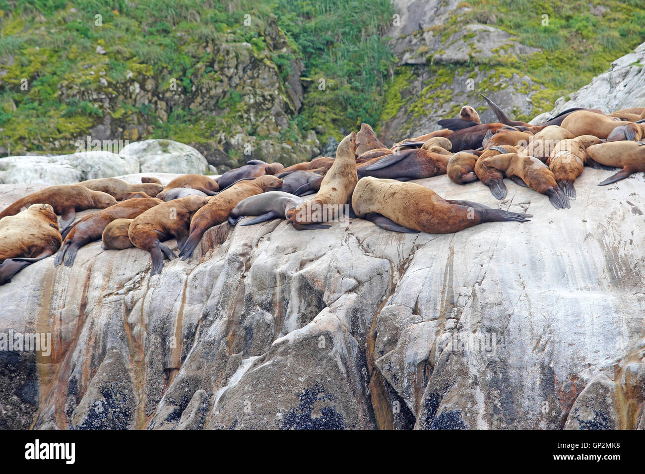 Fog basking hi-res stock photography and images - Alamy