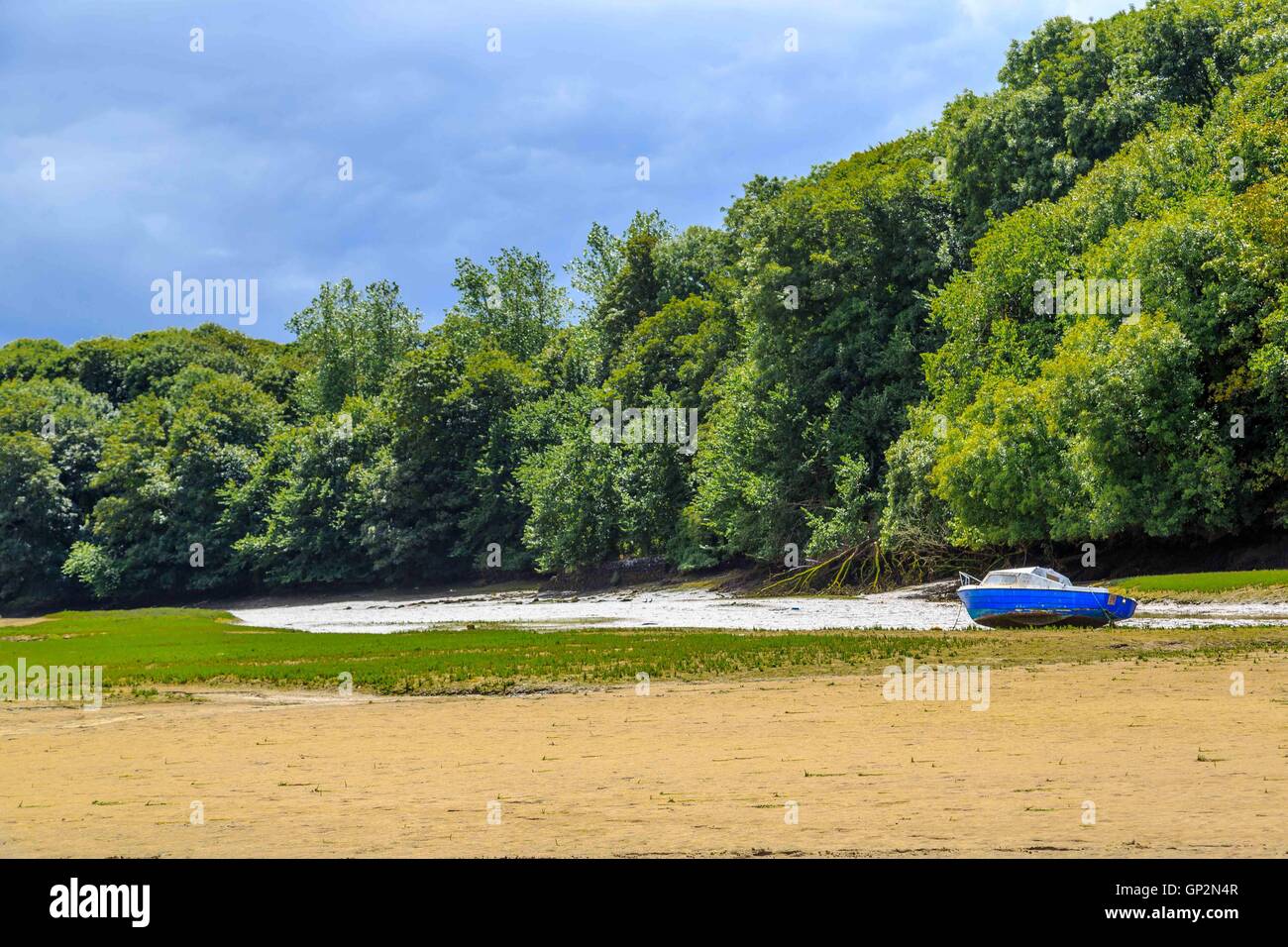A single blue and white boat in the River Gannel estuary near Newquay ...