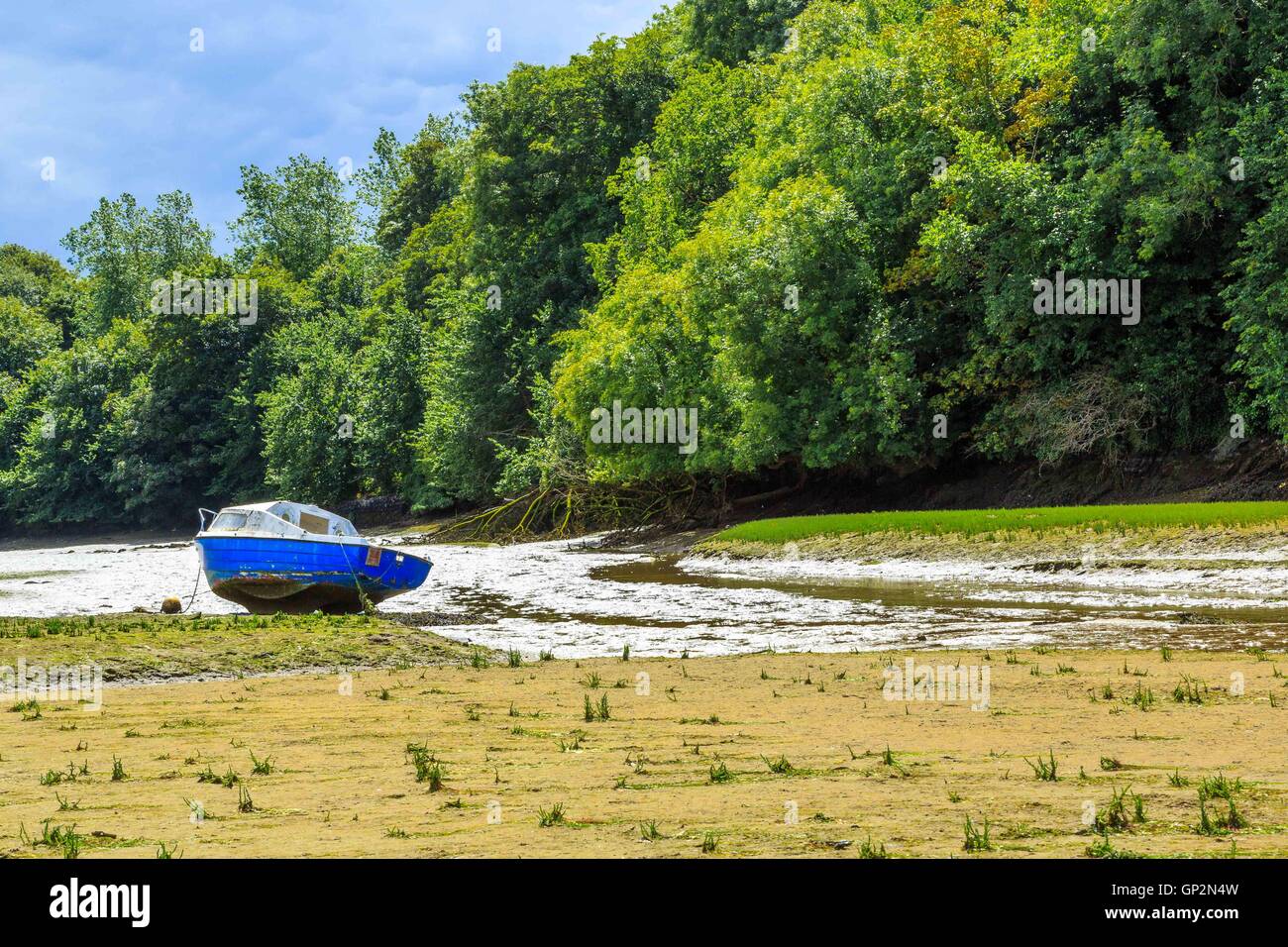 A single blue and white boat in the River Gannel estuary near Newquay ...
