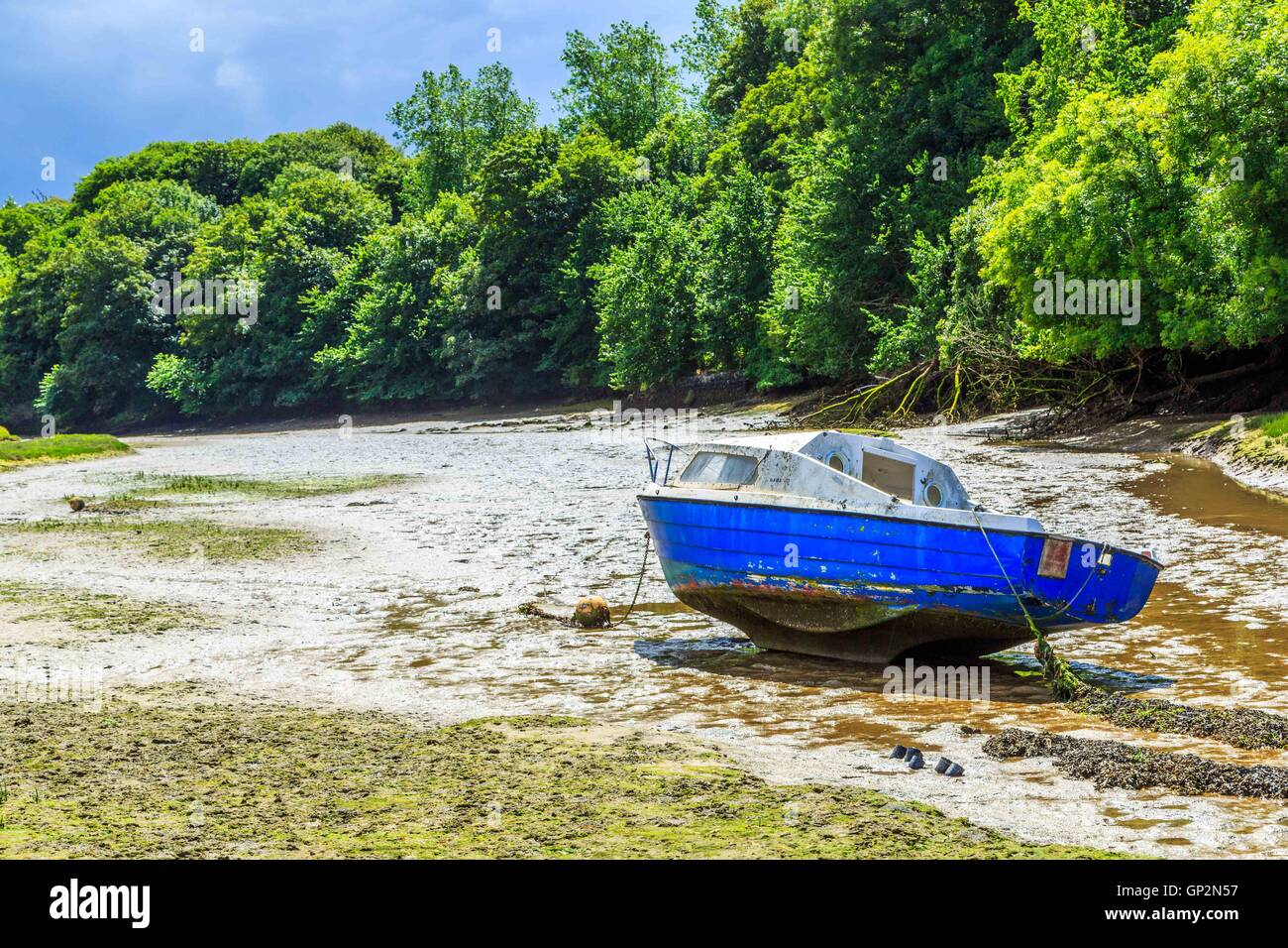 A single blue and white boat in the River Gannel estuary near Newquay ...