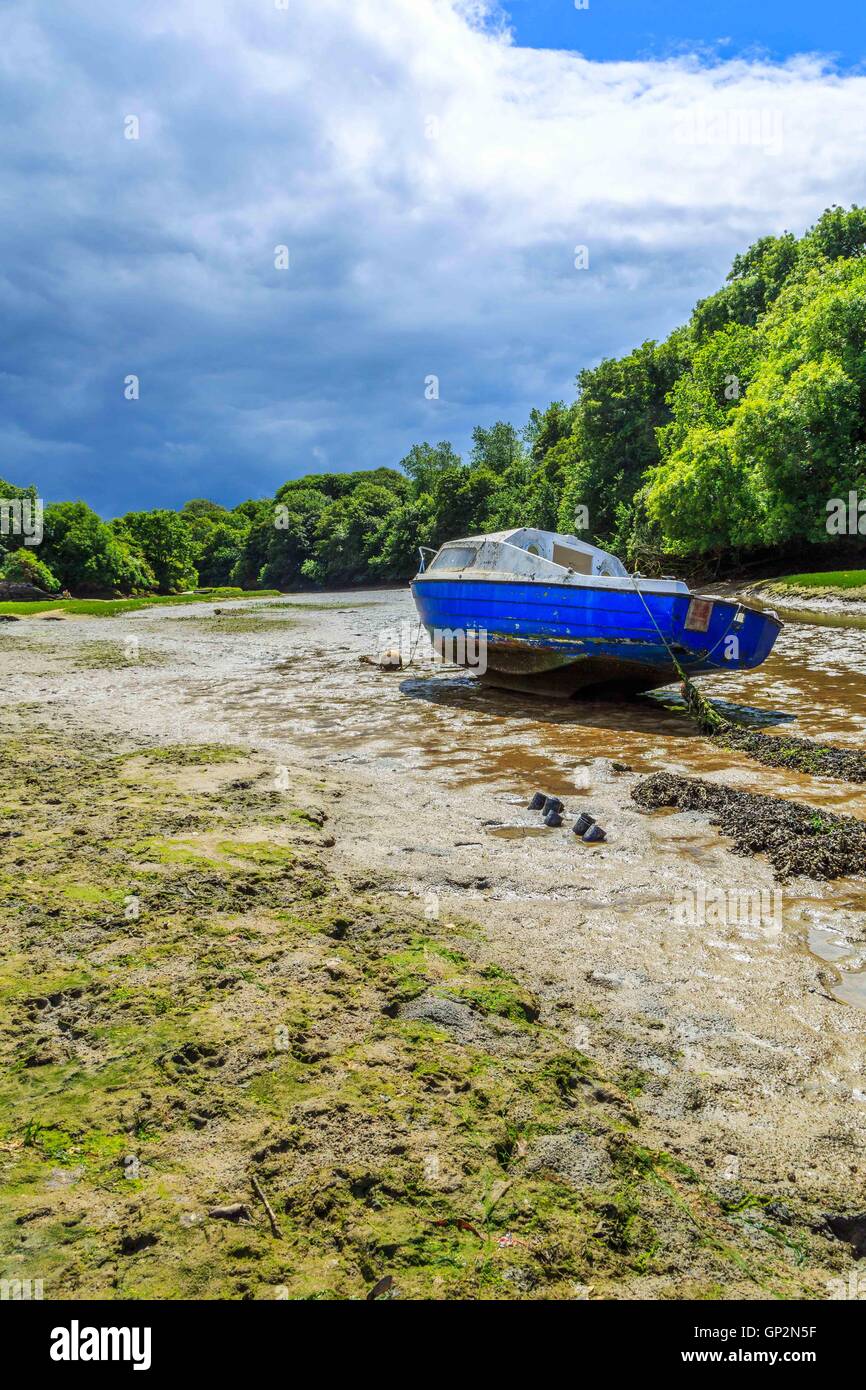 A single blue and white boat in the River Gannel estuary near Newquay ...
