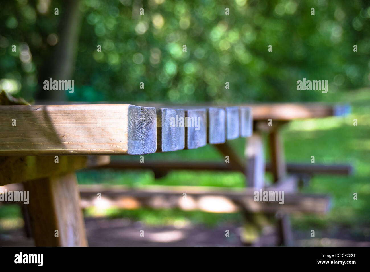 Side angle of wooden bench in woodland Stock Photo - Alamy