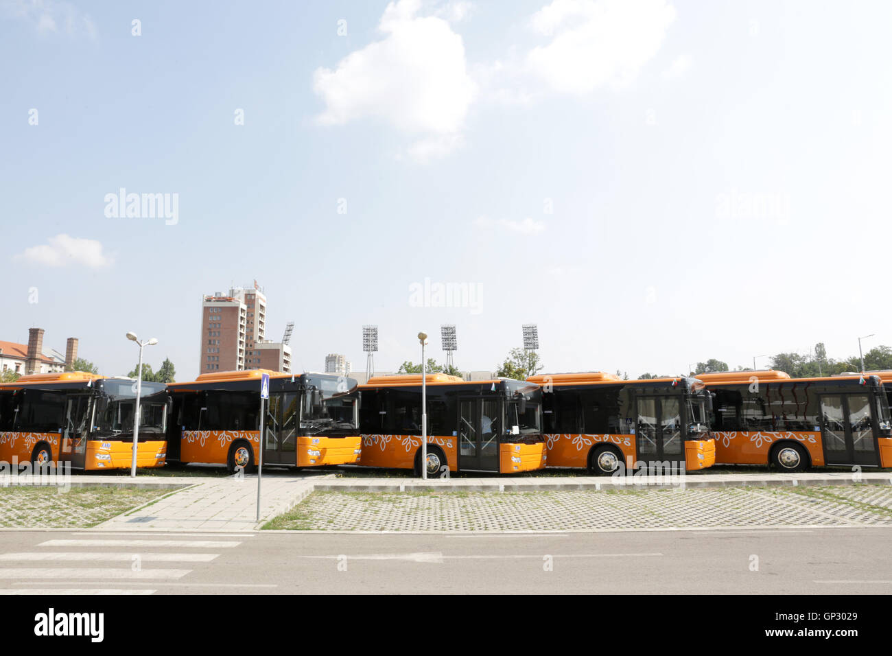 New modern busses for public transportation are shown in a row from the ...