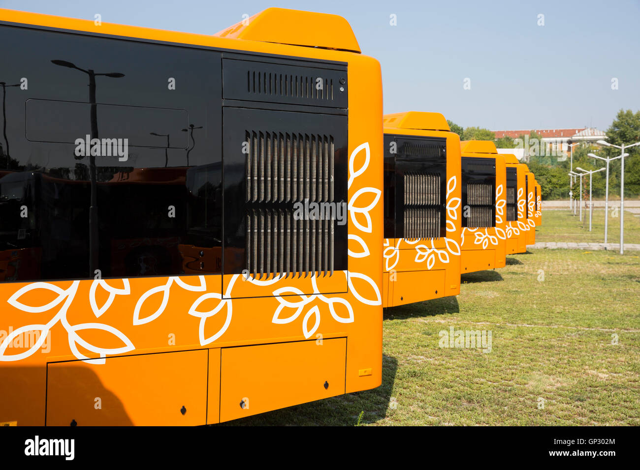 New modern busses for public transportation are shown in a row from the ...