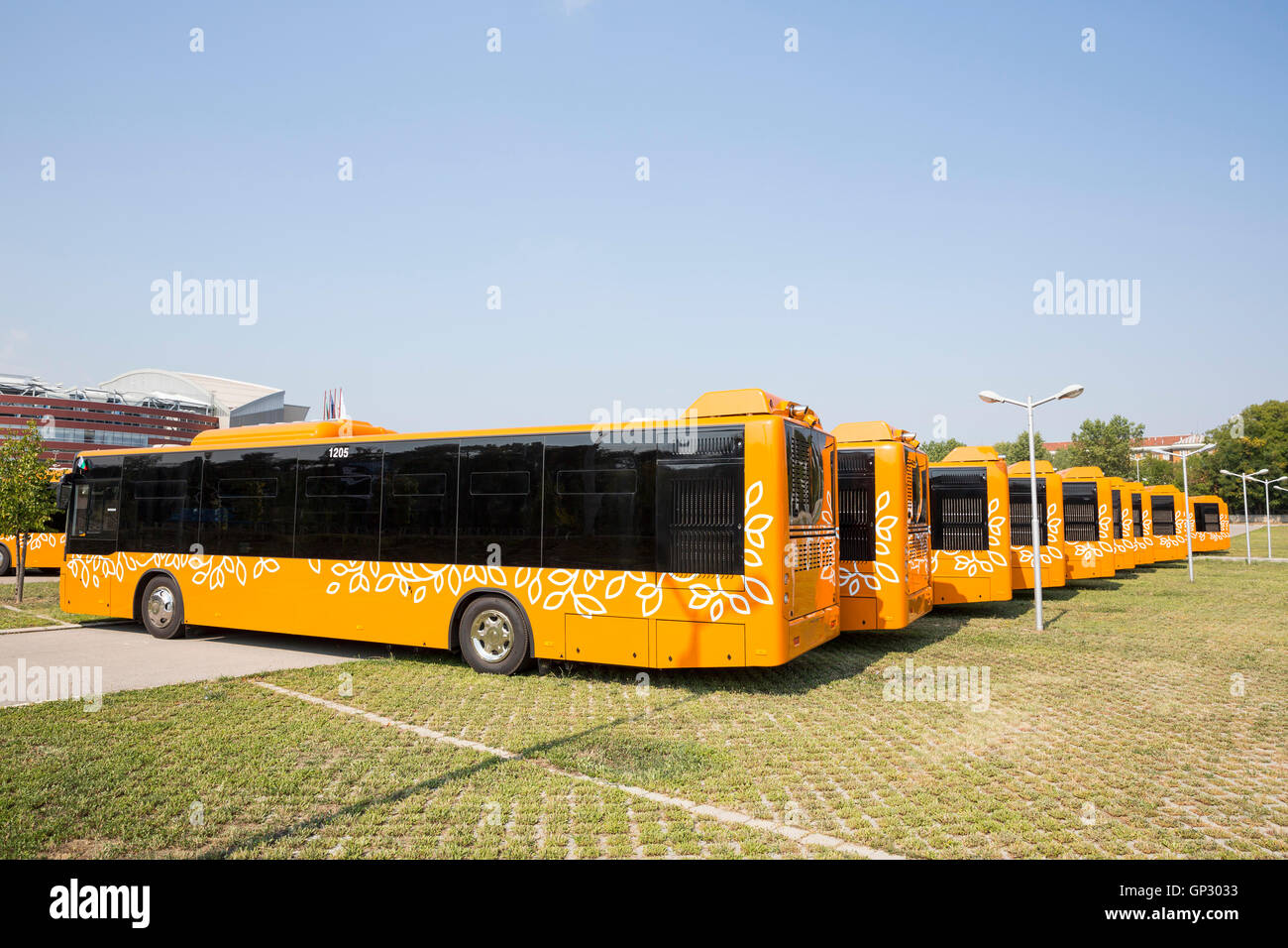 New modern busses for public transportation are shown in a row from the ...