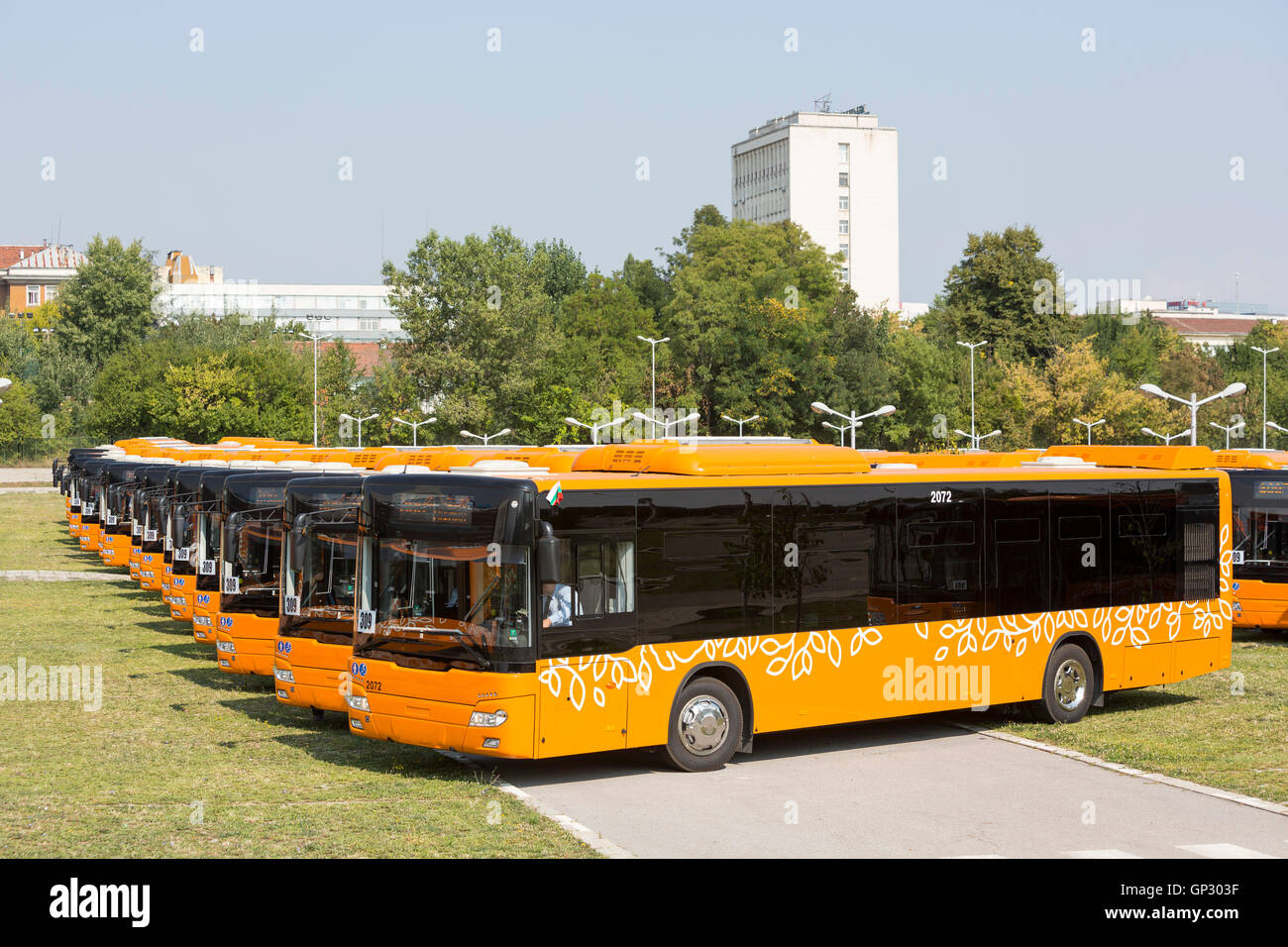 New modern busses for public transportation are shown in a row from the ...