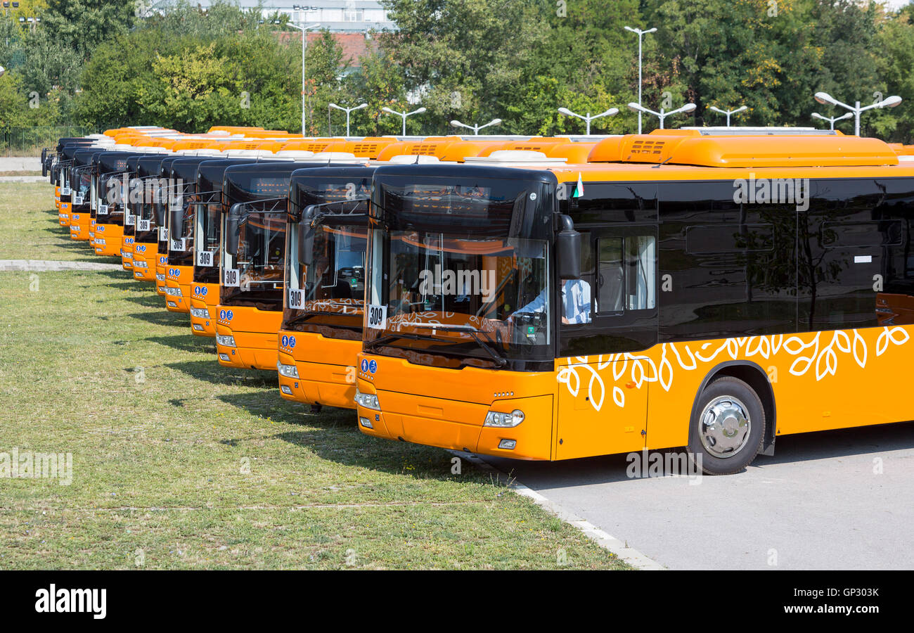 New modern busses for public transportation are shown in a row from the ...