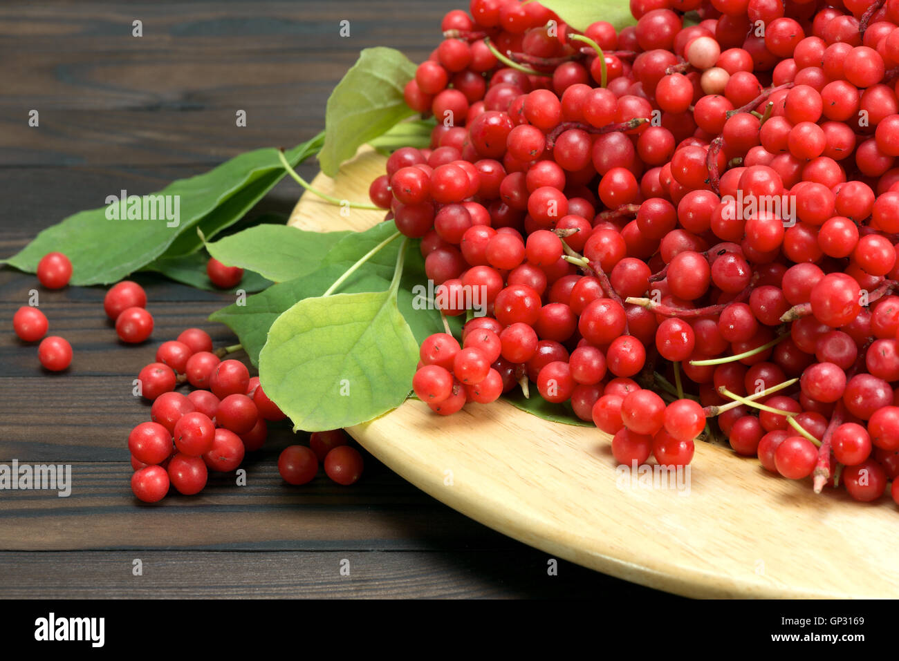 Schisandra chinese or five flavor berry Stock Photo - Alamy