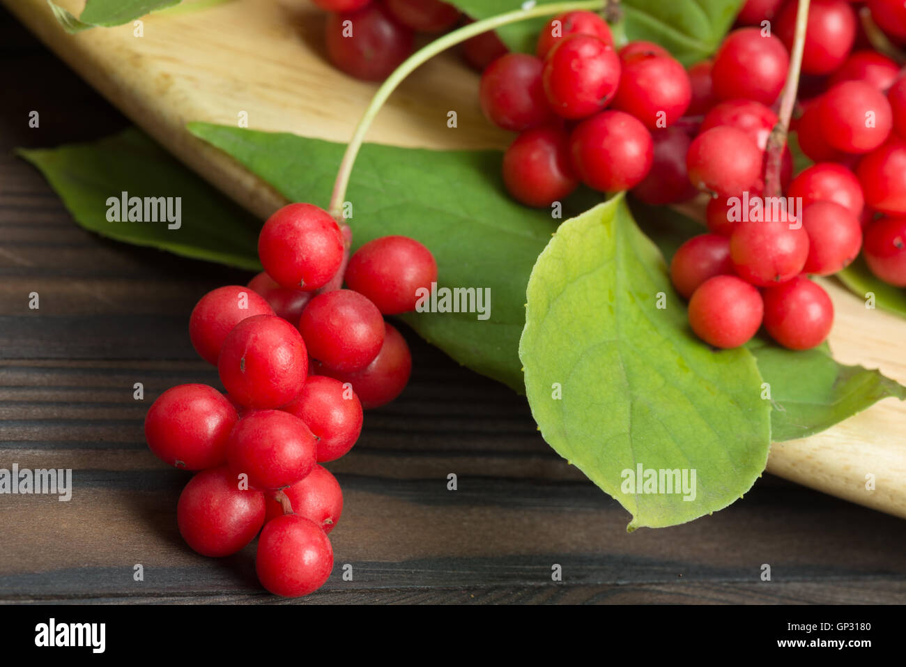 Schisandra chinese or five flavor berry Stock Photo - Alamy