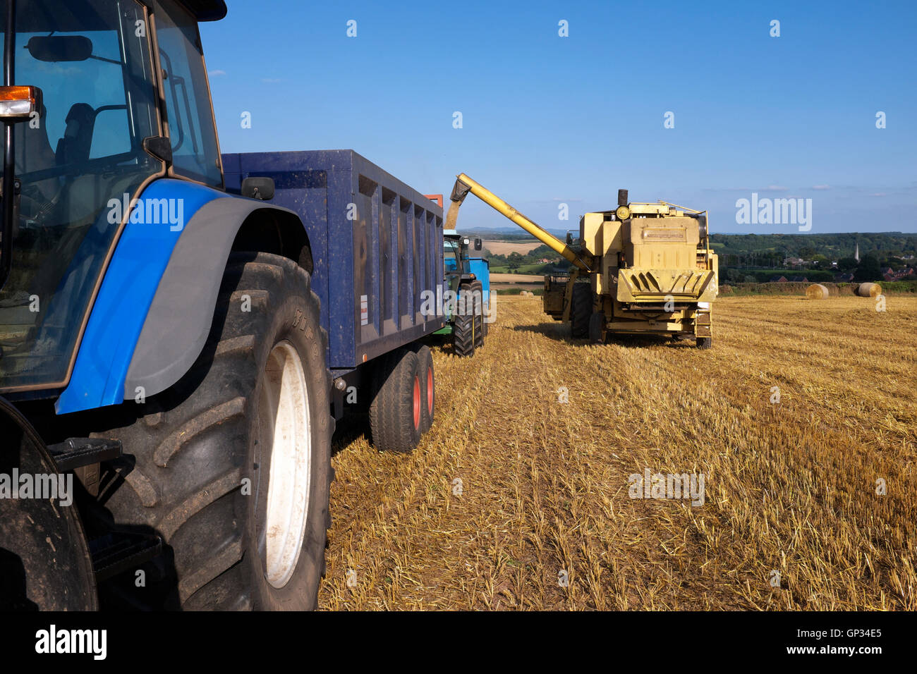 Combine harvester unloading into a tractor trailer, Shropshire, England ...