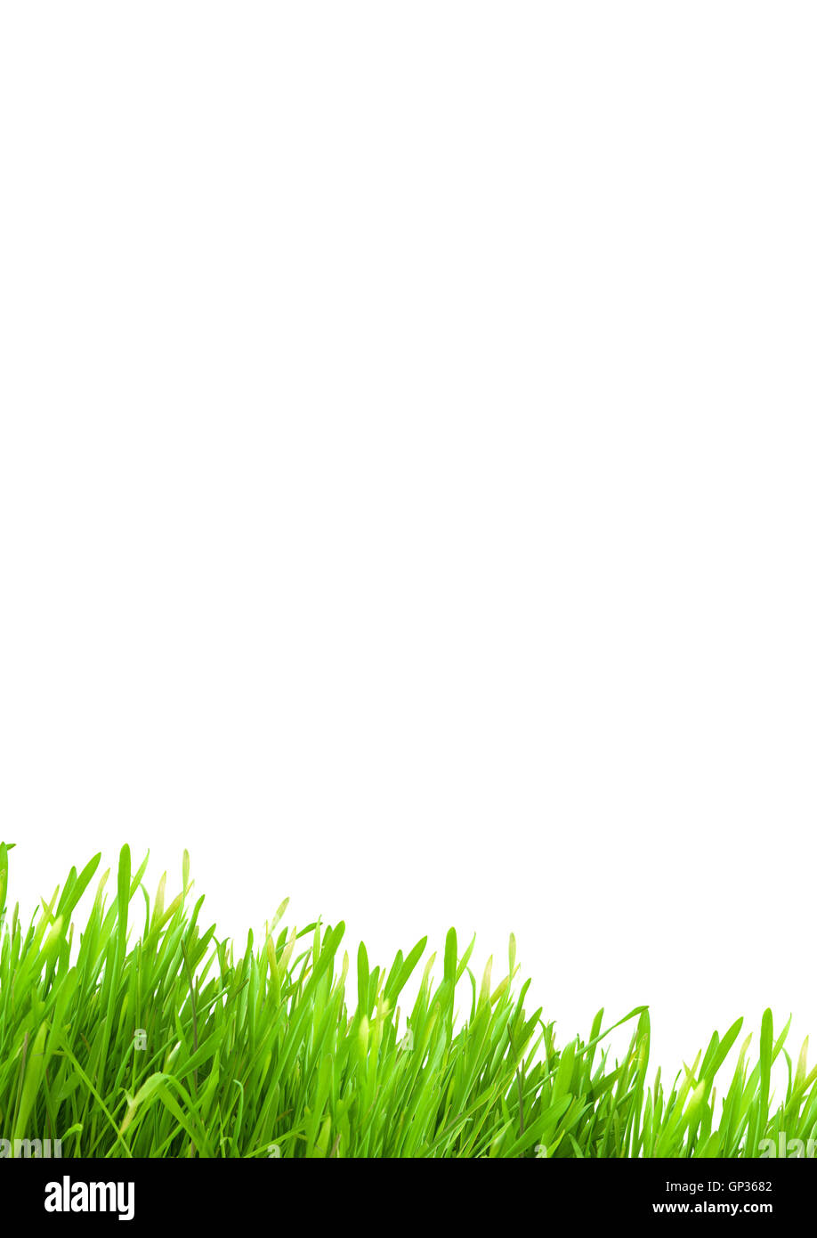 Isolated green grass Stock Photo - Alamy