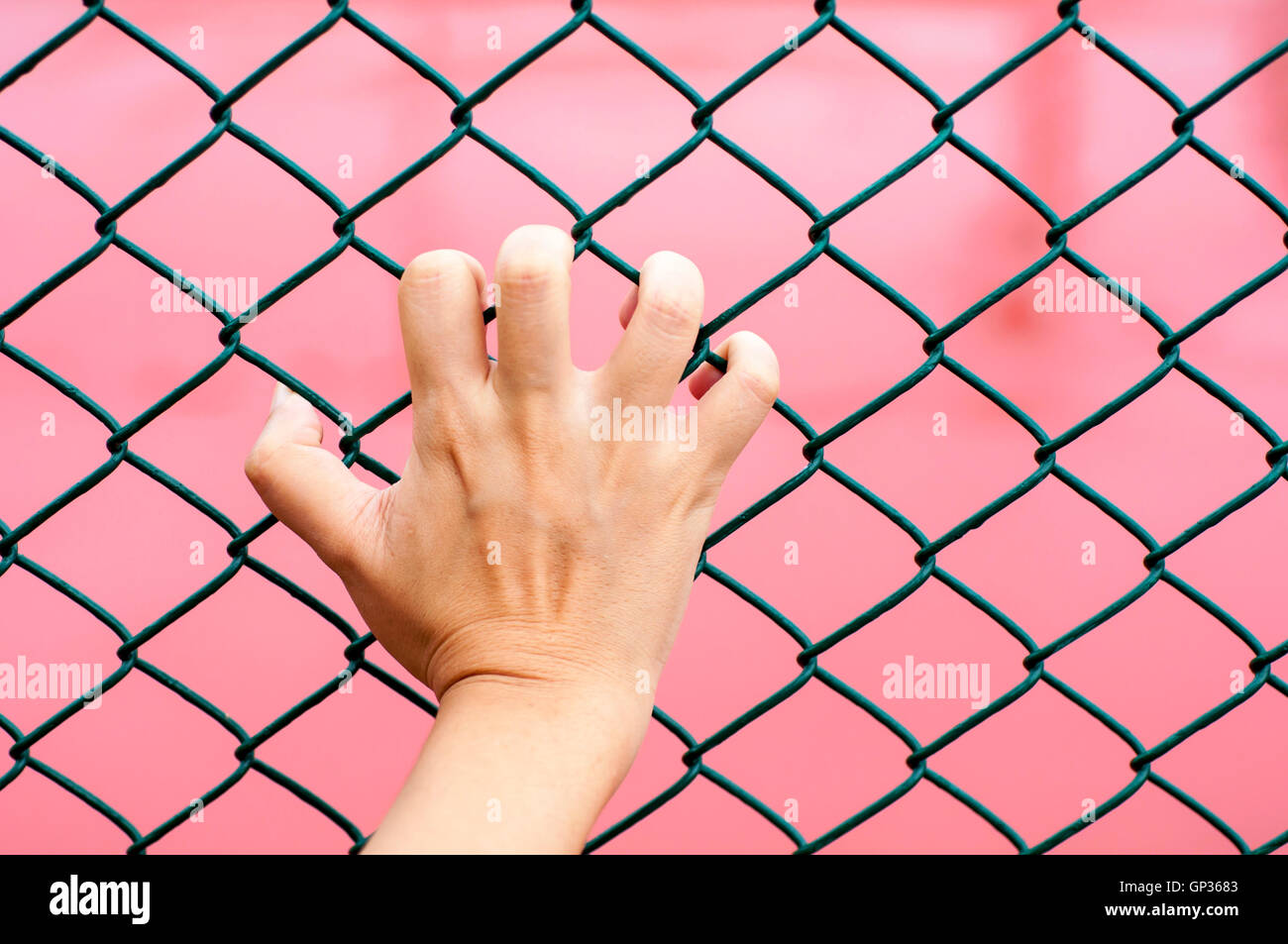 hand holding on chain fence Stock Photo - Alamy