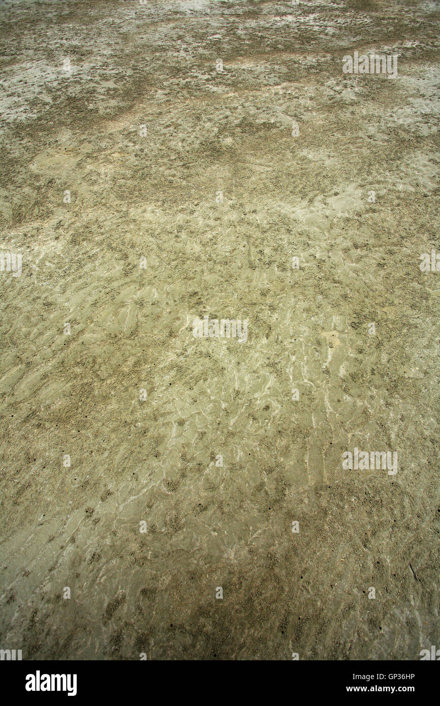 Gray mud hi-res stock photography and images - Alamy