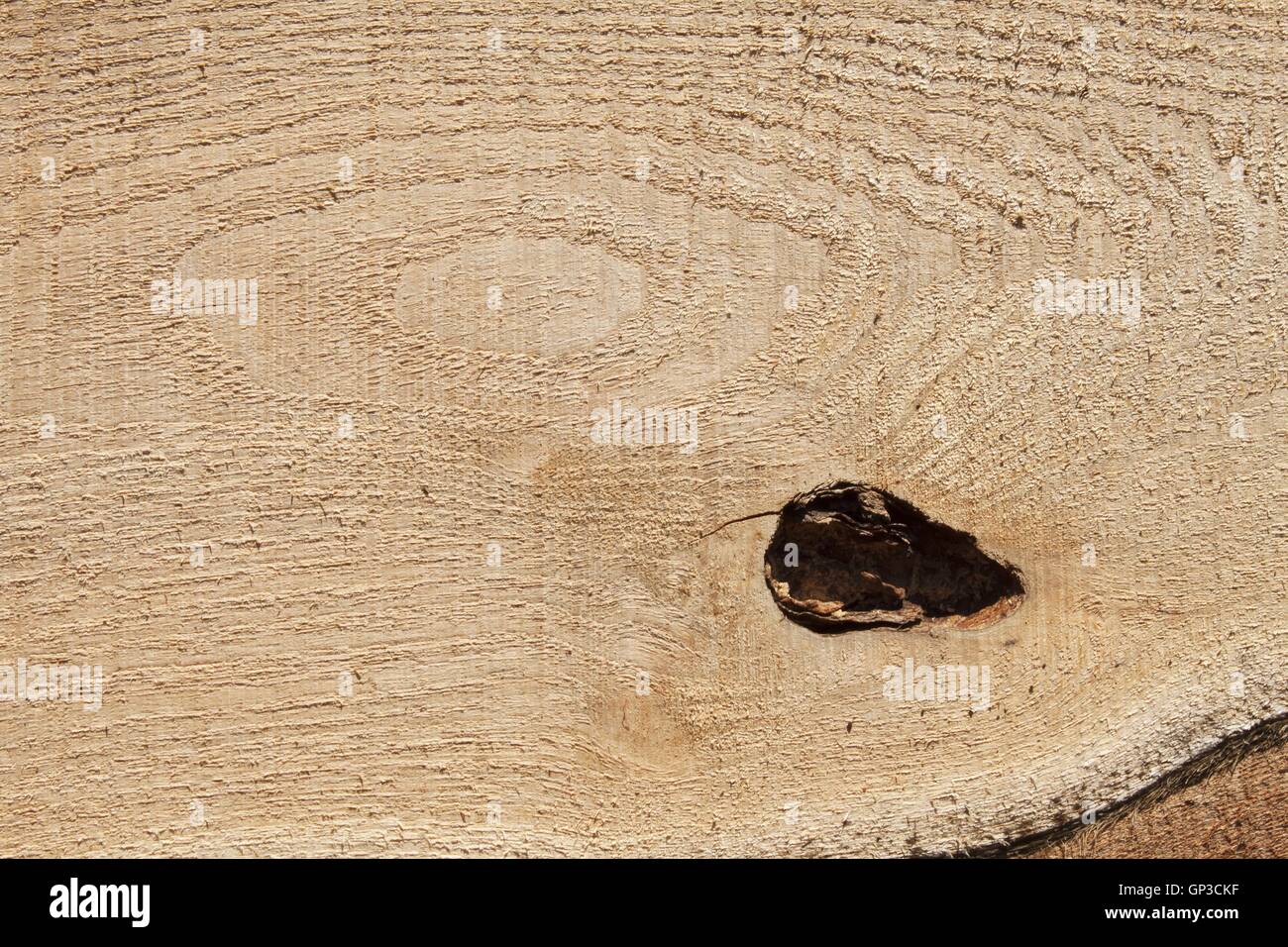 Wooden background for text. Detail of the structure . Rough cut boards ...