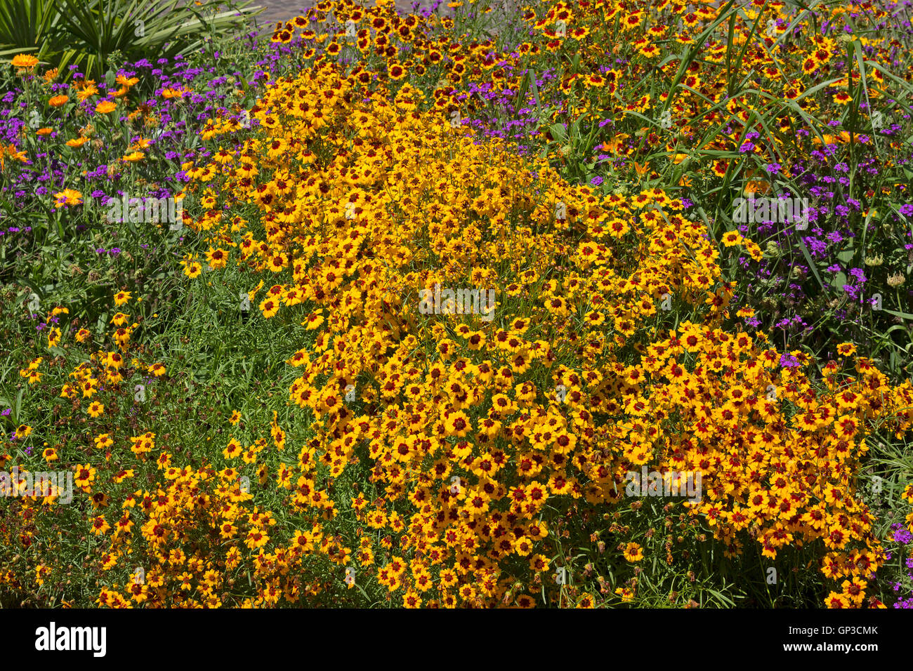 flower bed, Meersburg, Lake Constance, Baden-Wuerttemberg, Germany ...