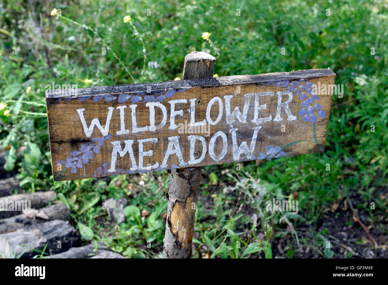 Stoke newington reservoirs hi-res stock photography and images - Alamy