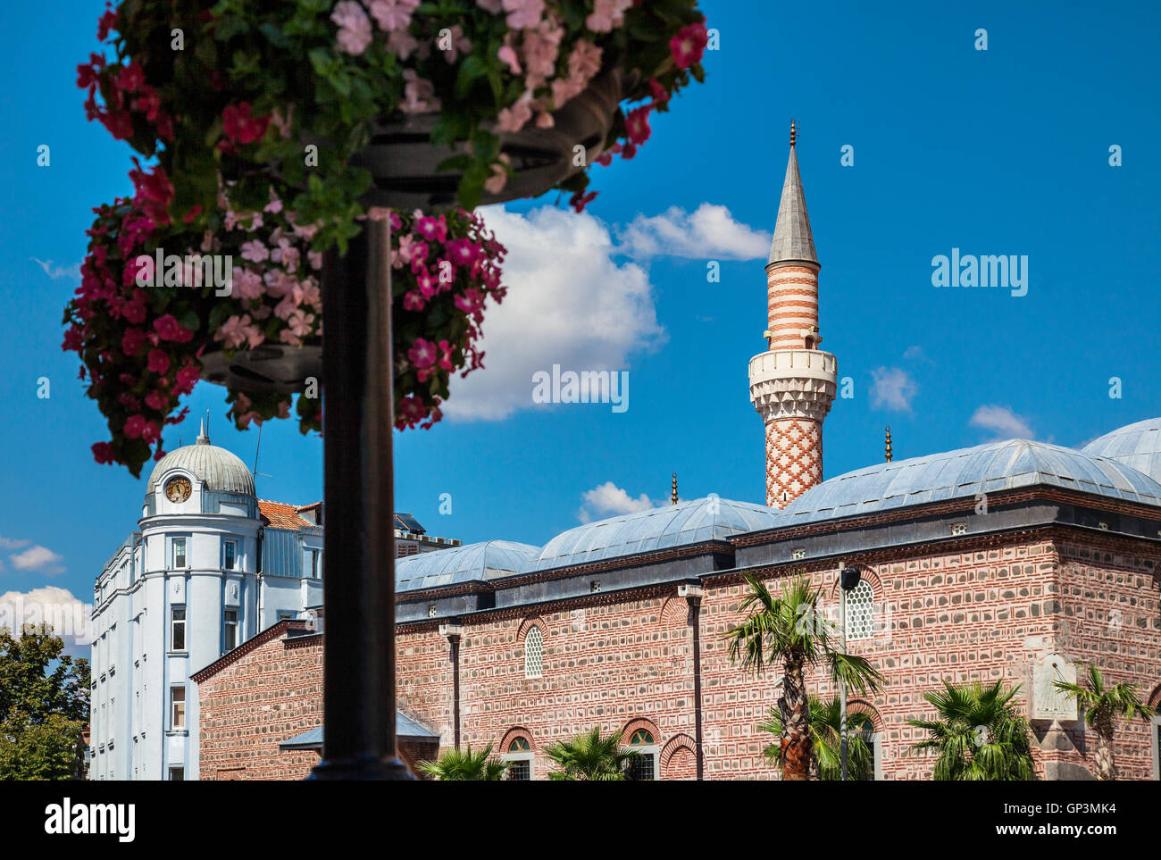 Dgumaia hi-res stock photography and images - Alamy